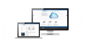 Blue Central : Website Design | Rara Designs